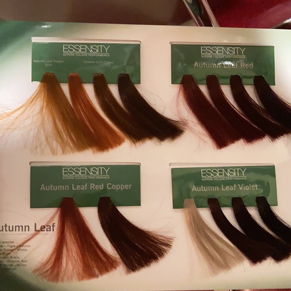 Schwarzkopf | Other | Schwarzkopf Essensity Hair Color Swatch Book ...